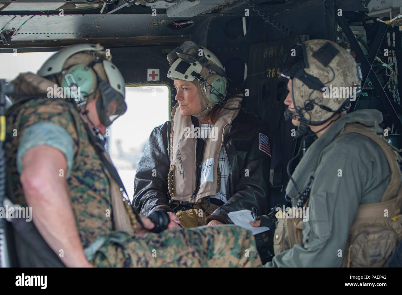 Phyllis major hi-res stock photography and images - Alamy