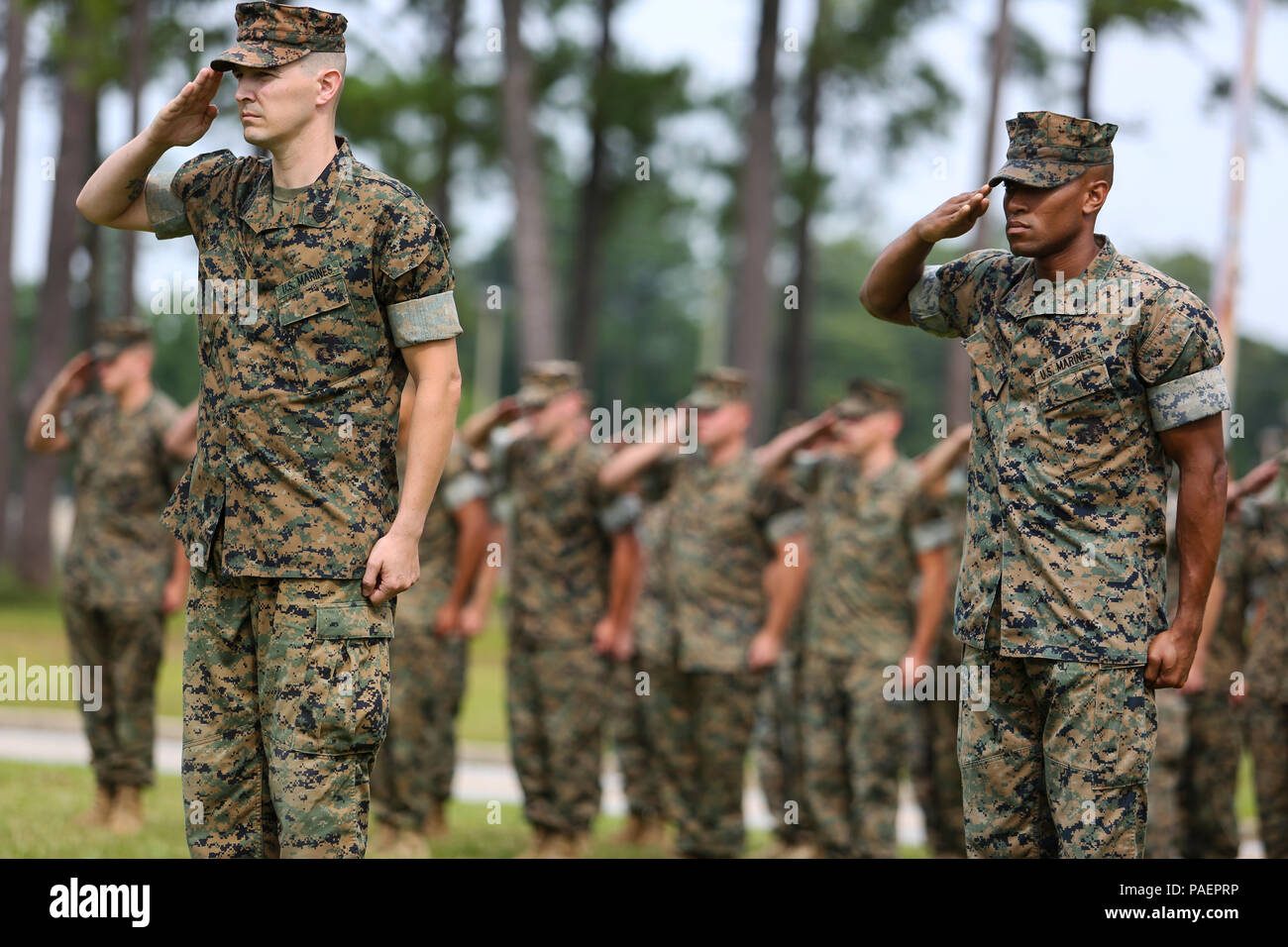 8th communications battalion hi-res stock photography and images - Alamy
