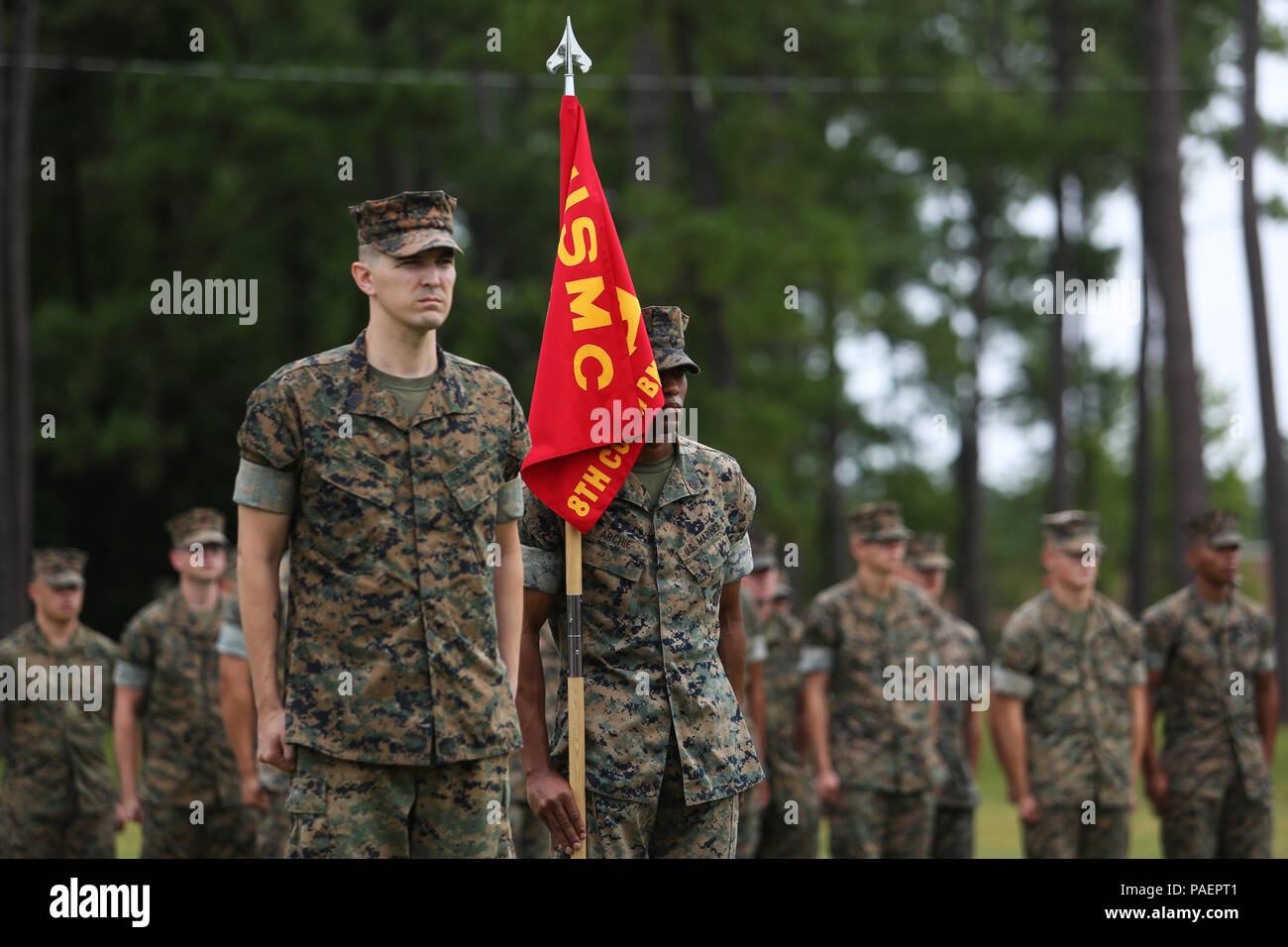 8th Hunting Command High Resolution Stock Photography and Images - Alamy