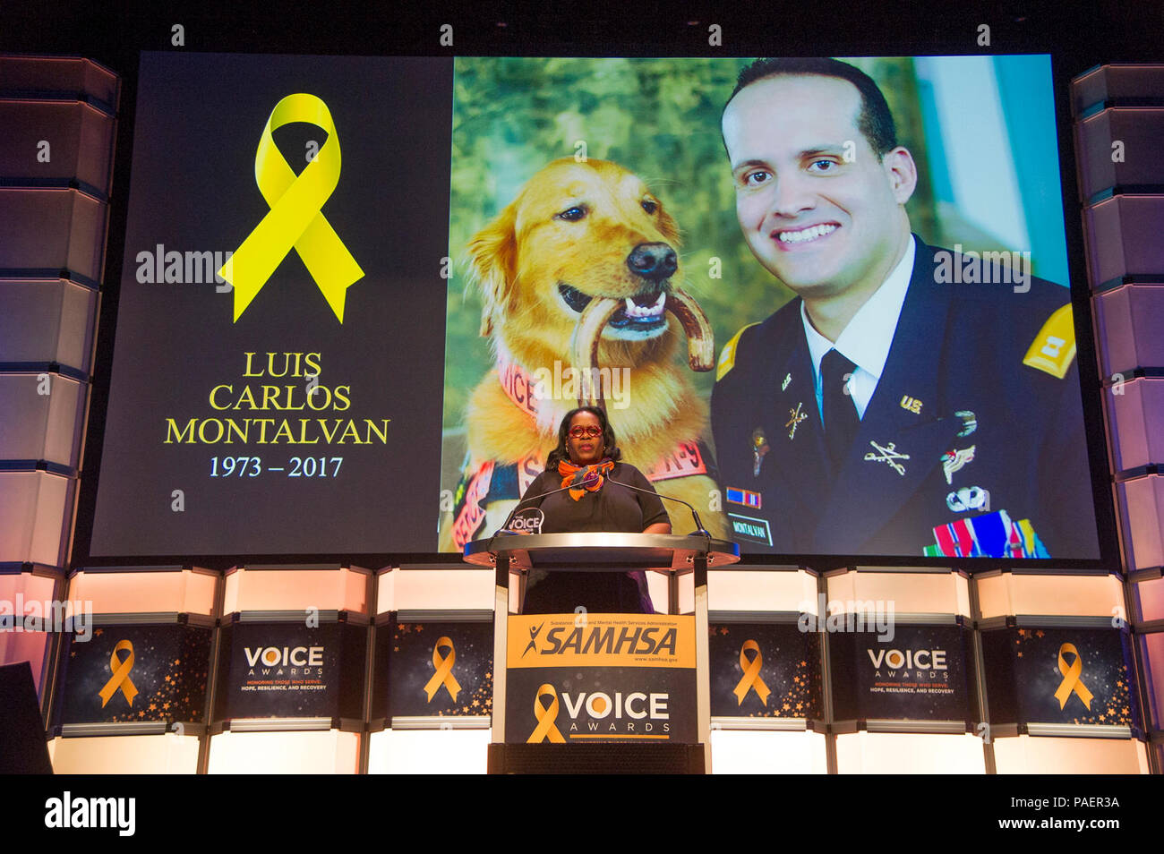 2017 SAMHSA Voice Awards Stock Photo - Alamy