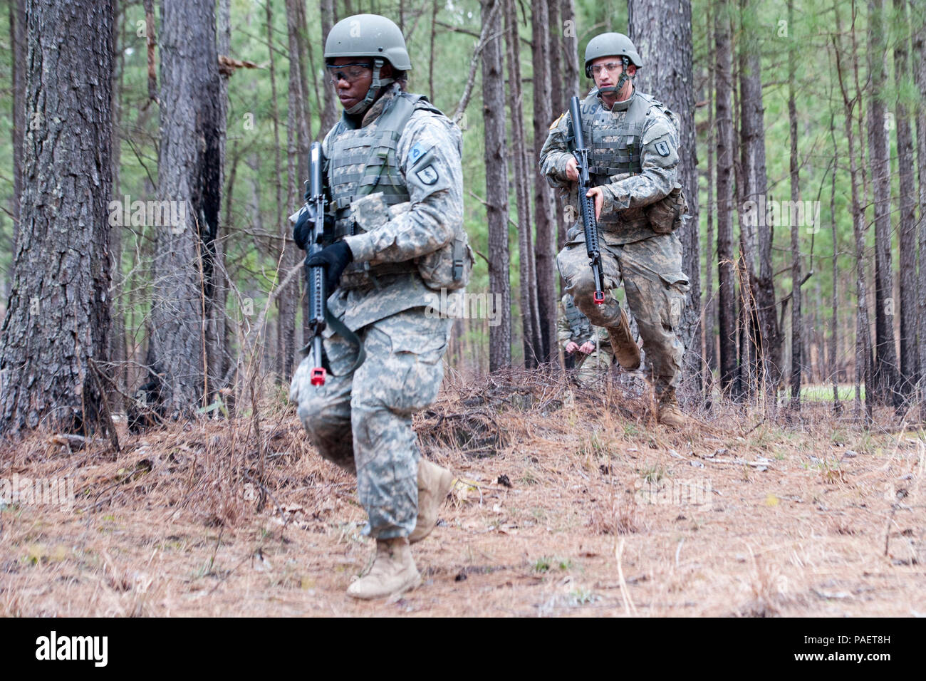 218th regiment ldr hi-res stock photography and images - Alamy