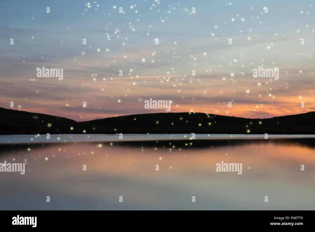 Beautiful Summer sunset landscape of fireflies glowing above vibrant ...