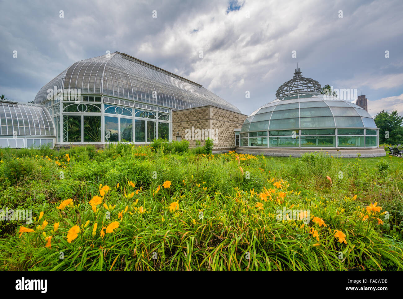 The Phipps Conservatory, in Pittsburgh, Pennsylvania Stock Photo - Alamy
