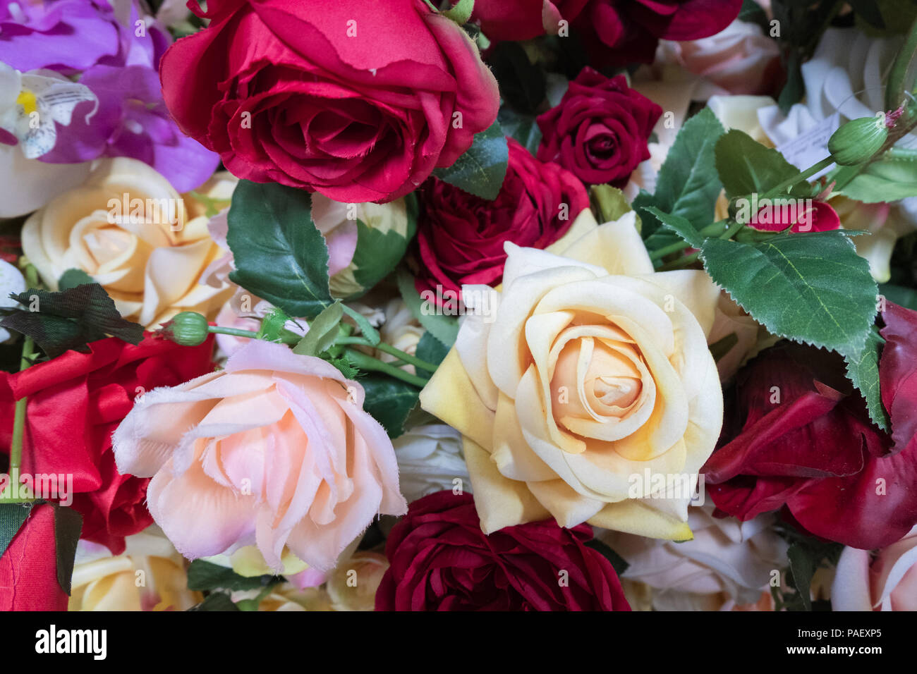 Beautiful multicolored artificial rose flowers background Stock Photo ...