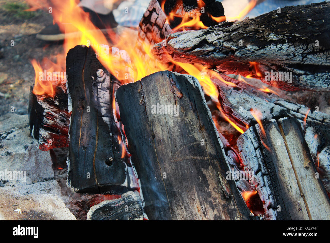 a campfire with an open fire and wood in the forest Stock Photo - Alamy