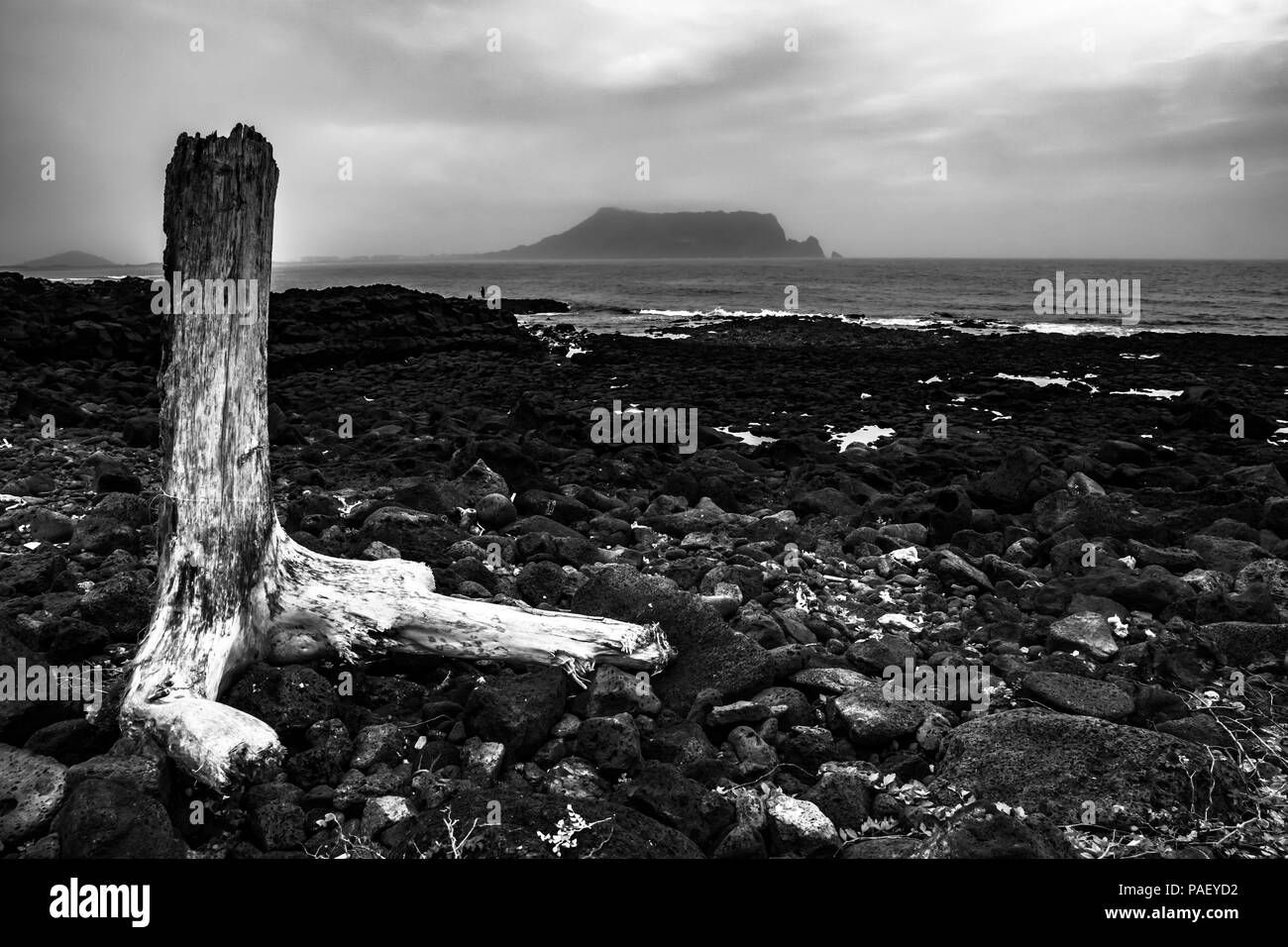 Jeju island volcano Black and White Stock Photos & Images - Alamy