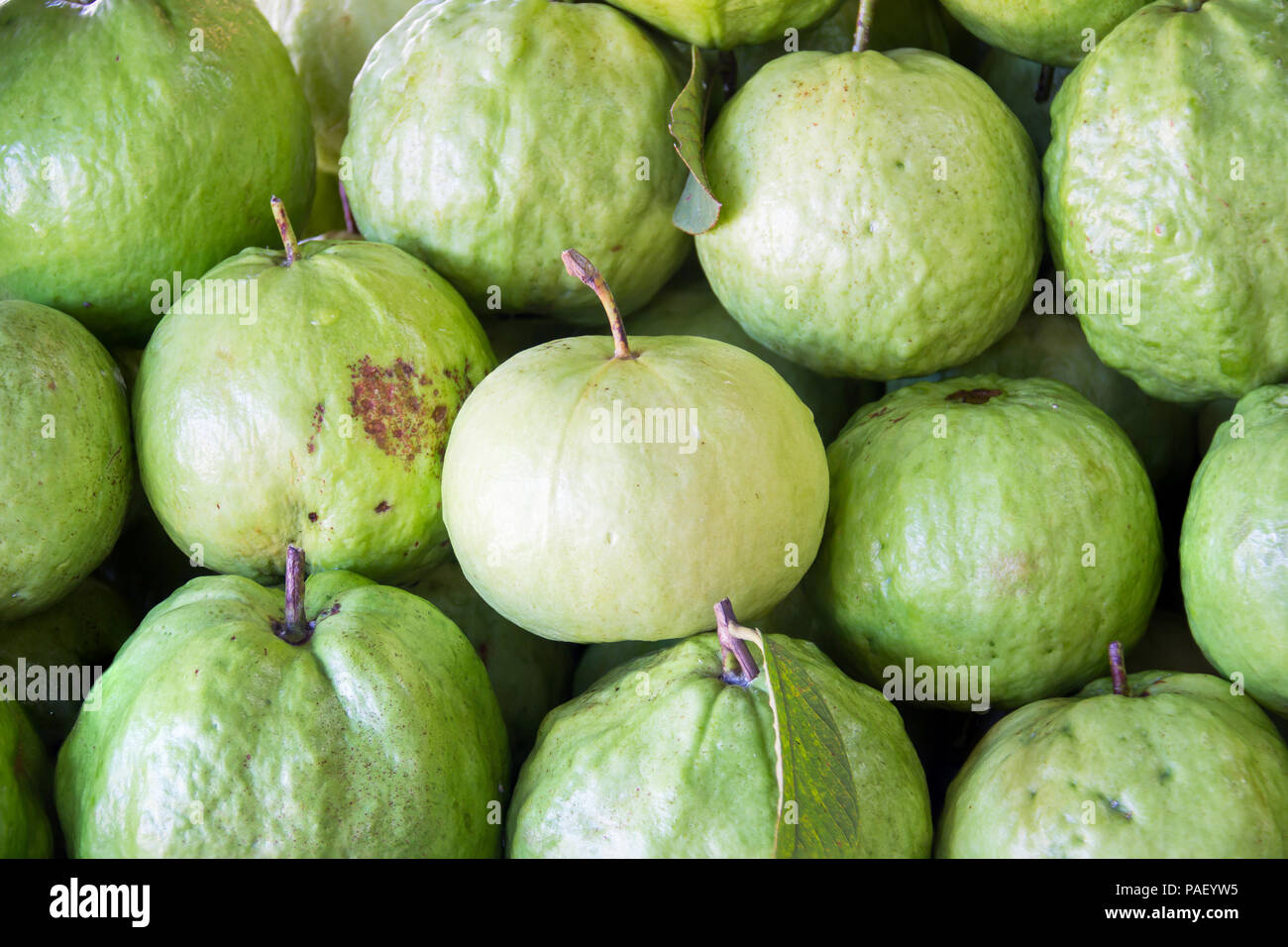 Fresh ripe guava Stock Photo - Alamy