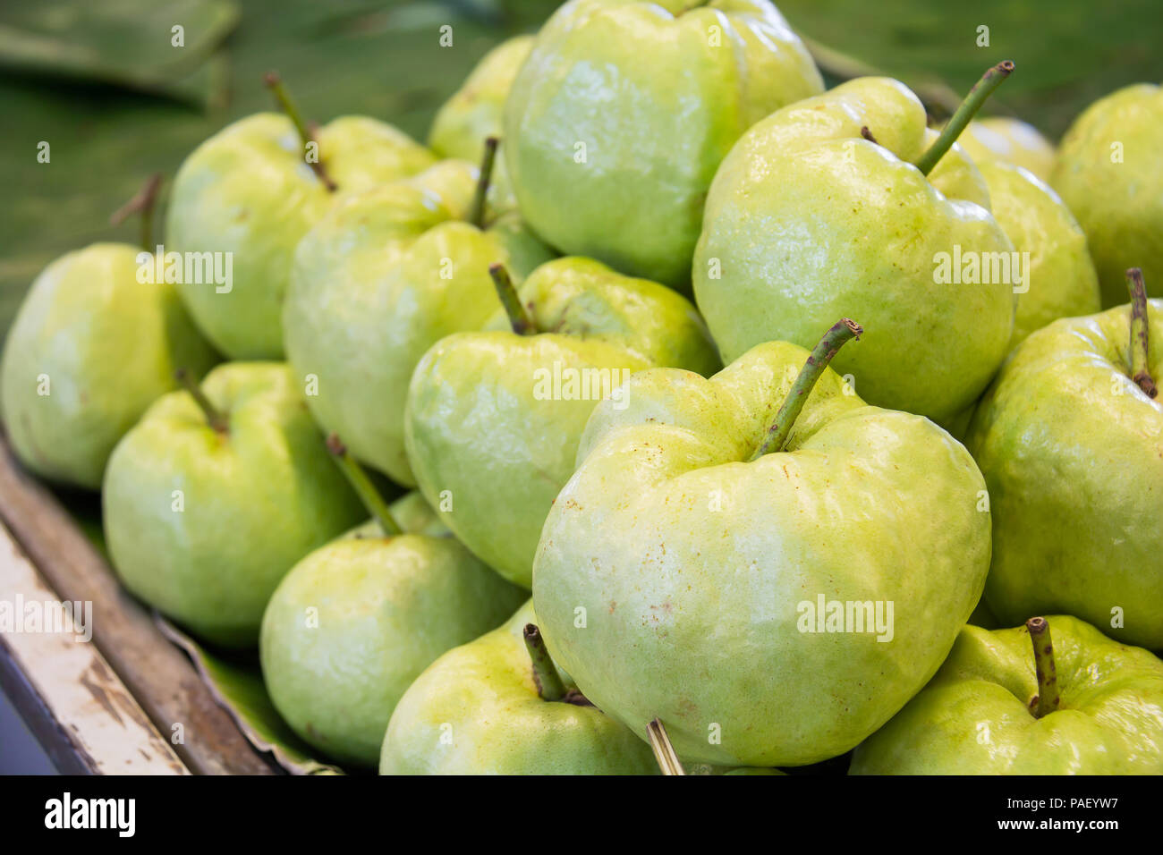 Fresh ripe guava Stock Photo - Alamy