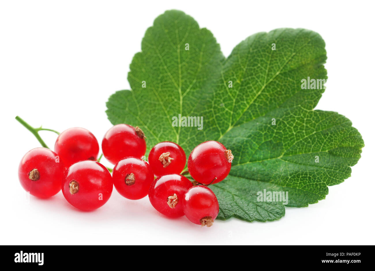 Redcurrent Cut Out Stock Images & Pictures - Alamy