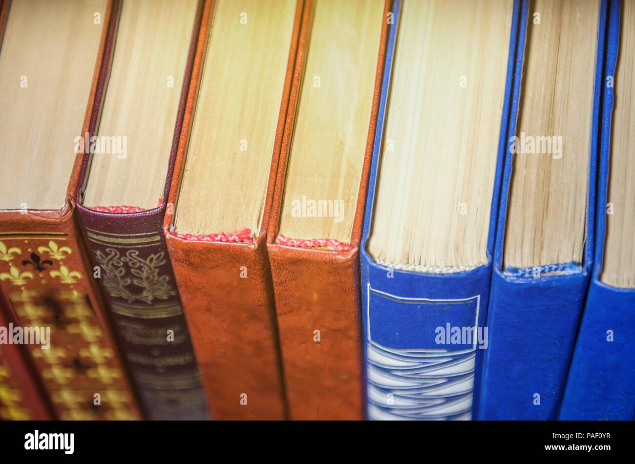 a stack of colorful books on the shelf in a library or a room close-up ...