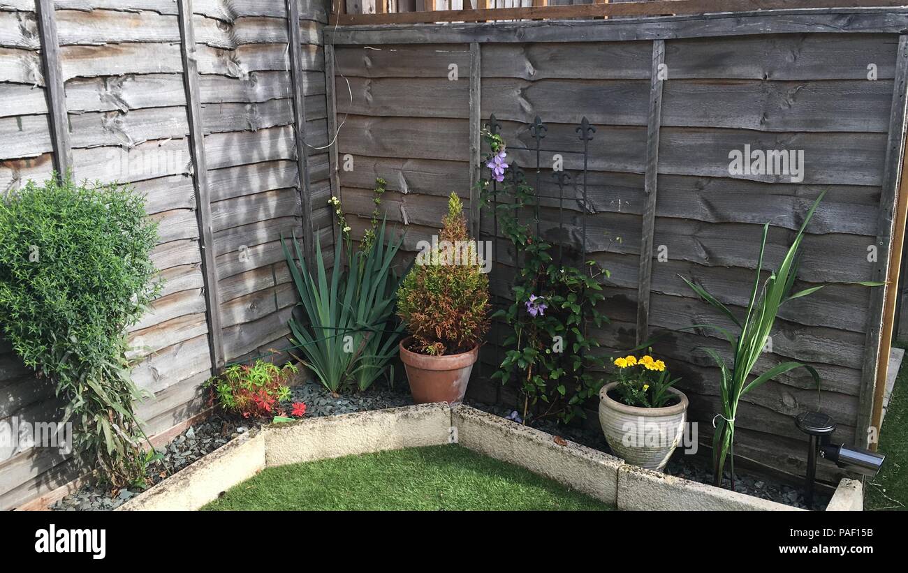 Grass nd plants hi-res stock photography and images - Alamy