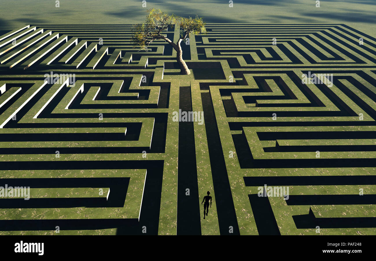 Tree labyrinth hi-res stock photography and images - Alamy