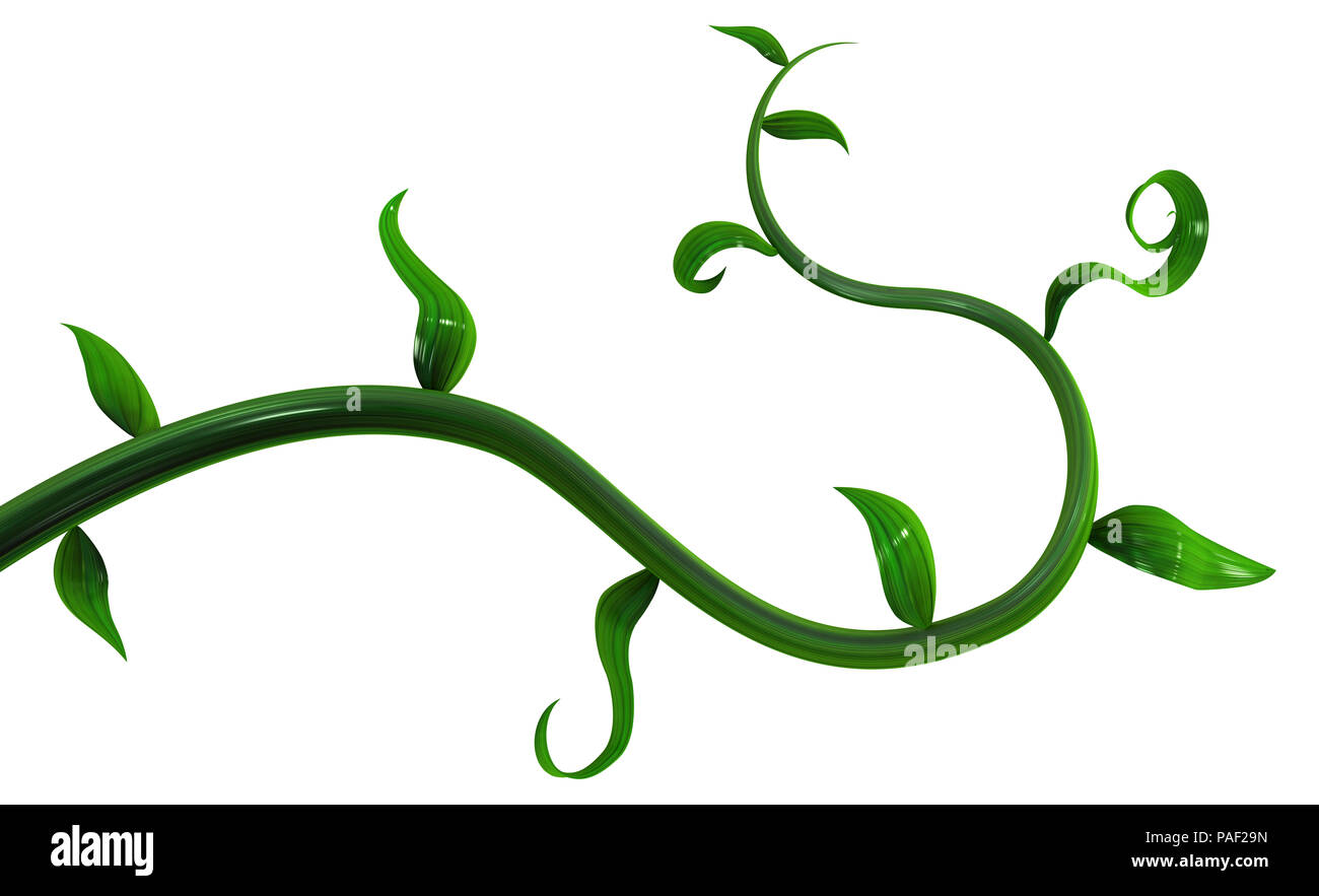 Plant vines green leaves, 3d illustration, horizontal, isolated, over ...