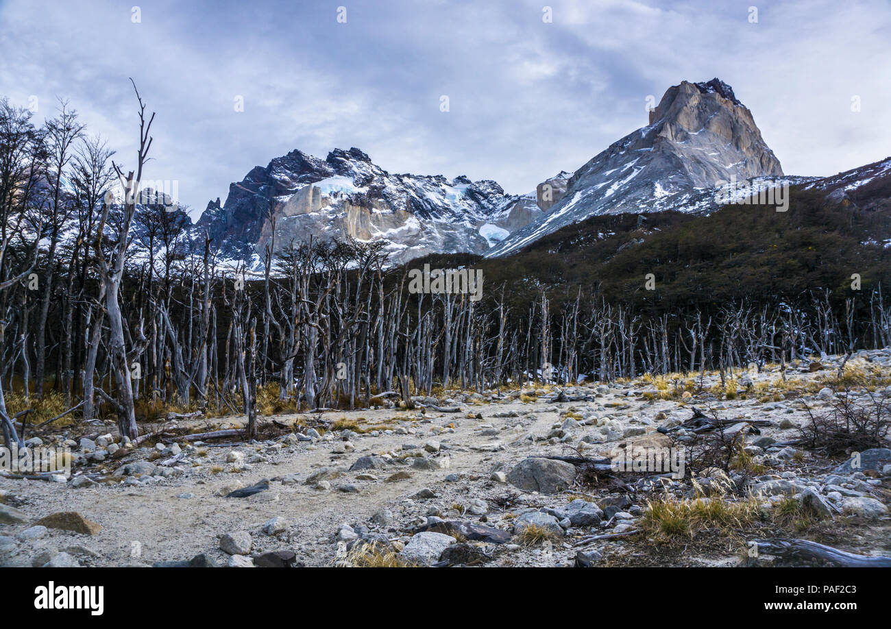 Torres del Paine Burnt Valley Stock Photo - Alamy