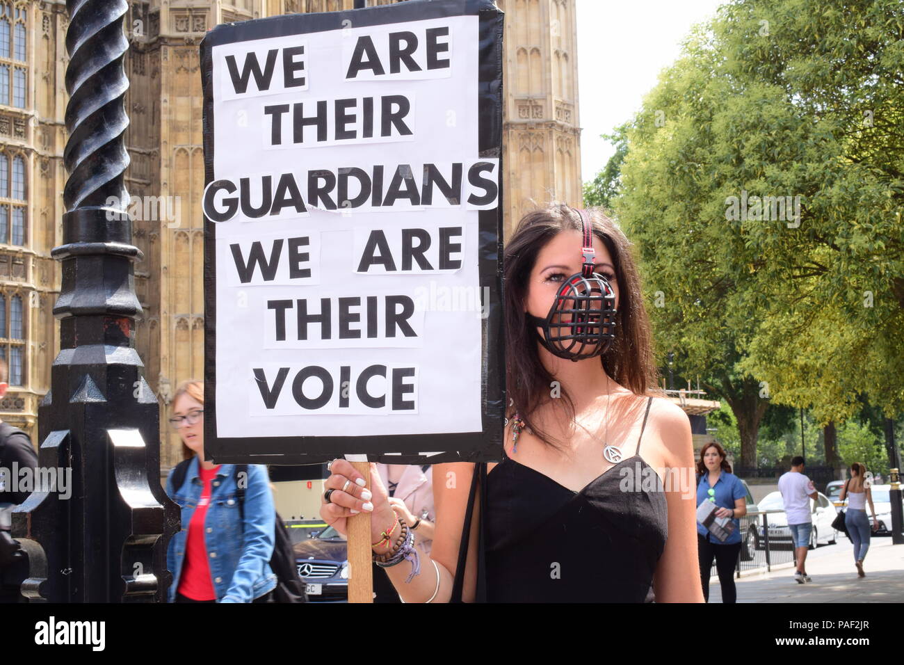 Bsl hi-res stock photography and images - Alamy