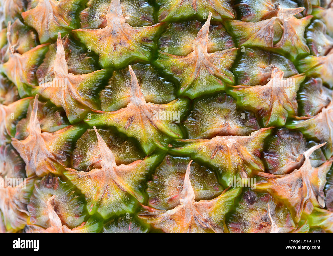 Pineapple peel hi-res stock photography and images - Alamy