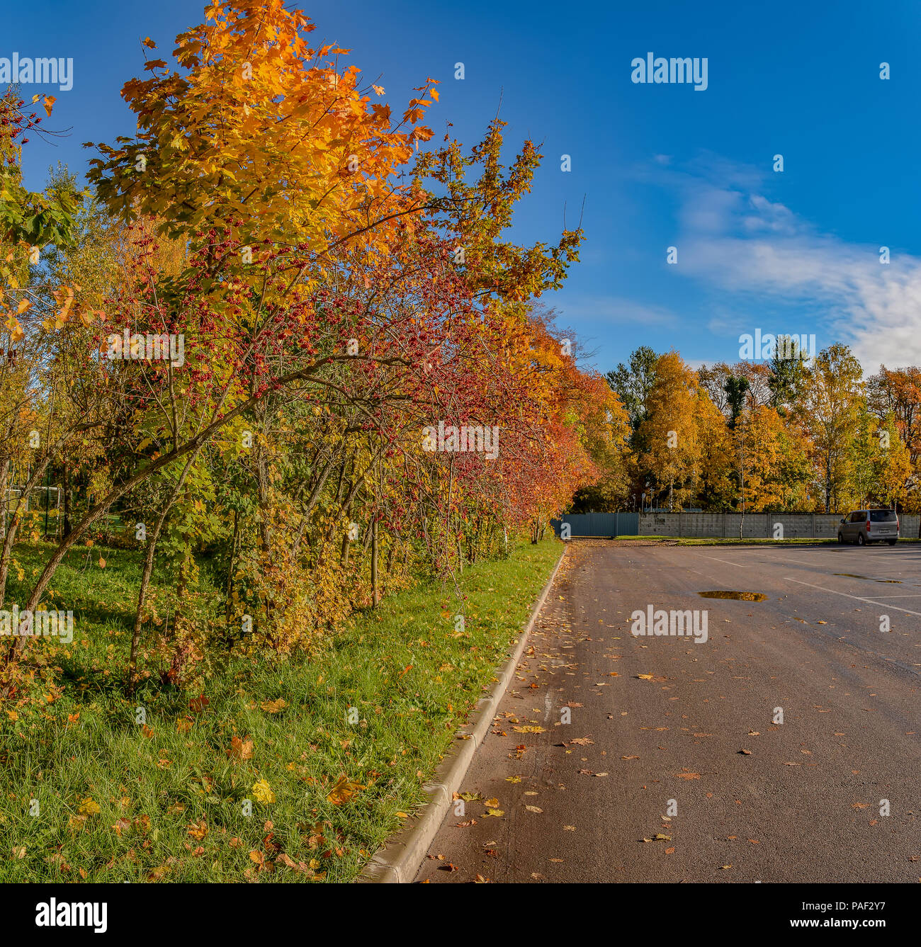 Colorful trees in the city Park during the Golden autumn Stock Photo ...