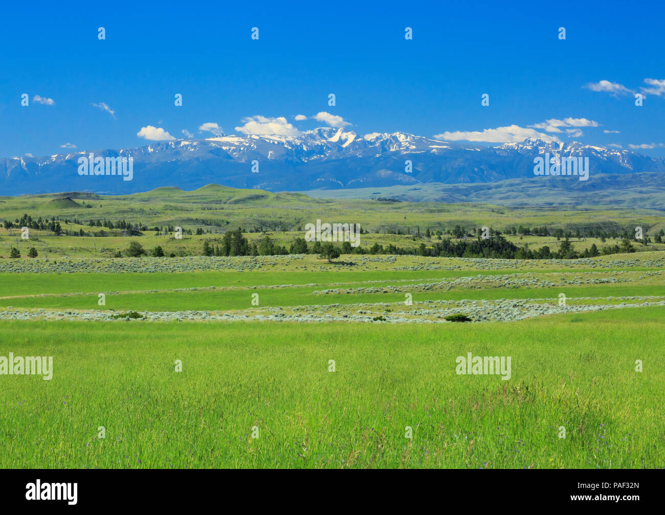 Mt d4947 hi-res stock photography and images - Alamy