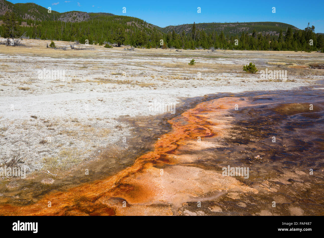 Colorful hot water pool in the Yellowstone National park, USA Stock ...