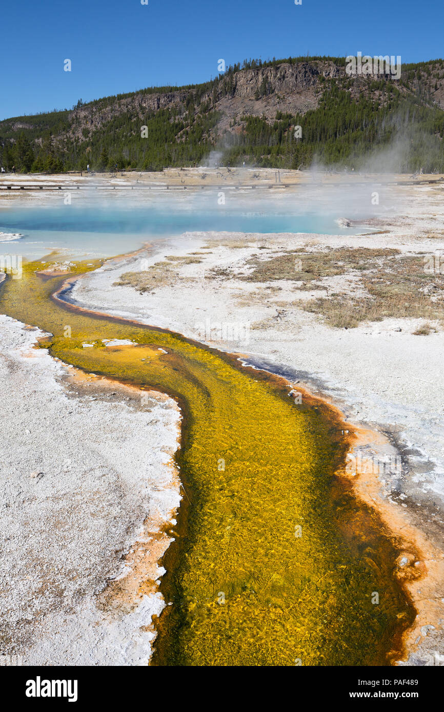 Colorful hot water pool in the Yellowstone National park, USA Stock ...