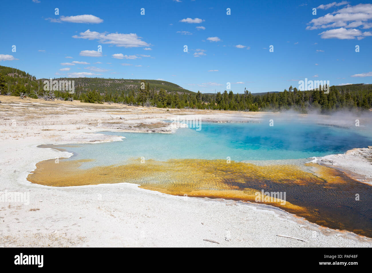 Colorful hot water pool in the Yellowstone National park, USA Stock ...