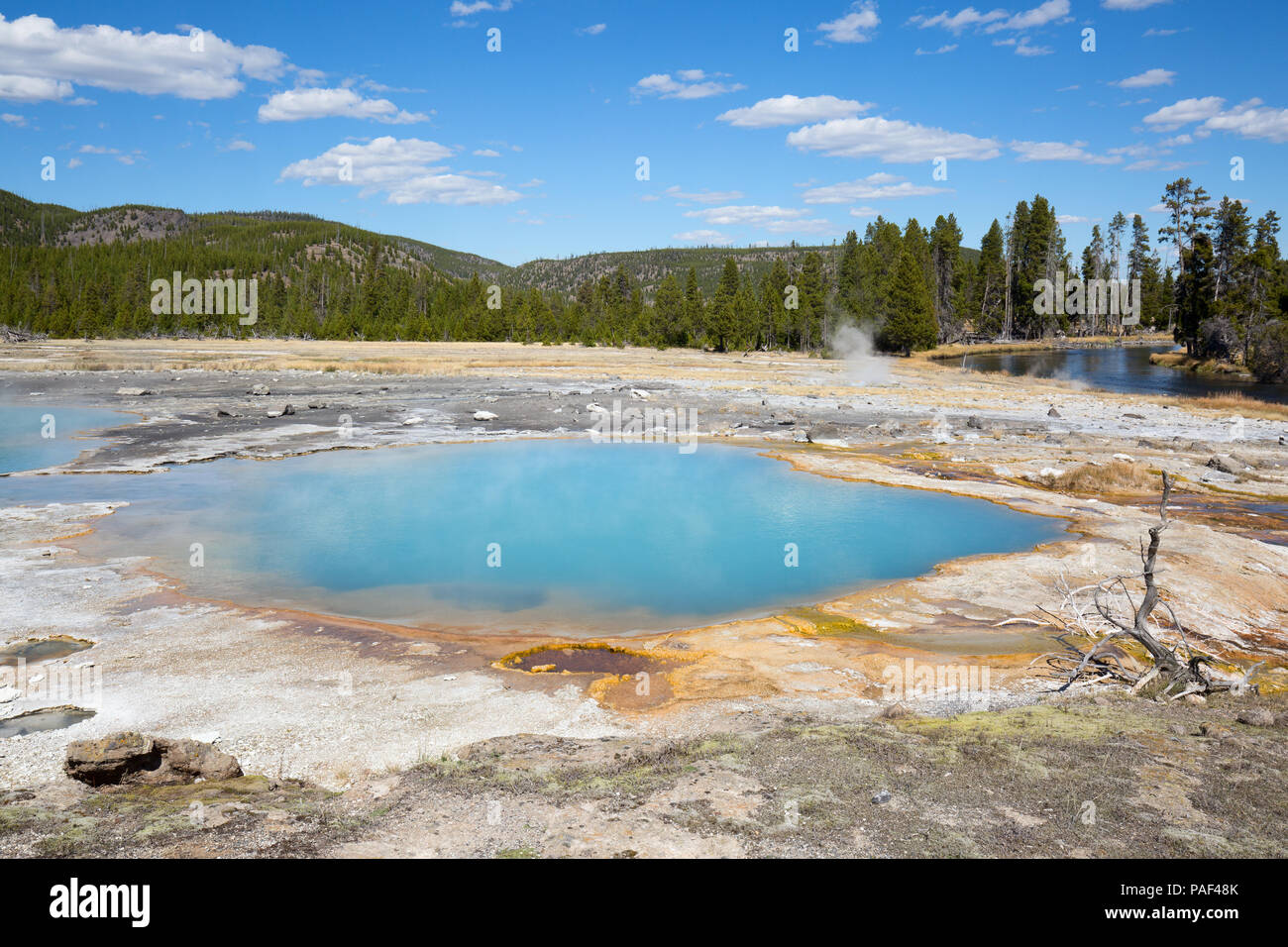 Colorful hot water pool in the Yellowstone National park, USA Stock ...
