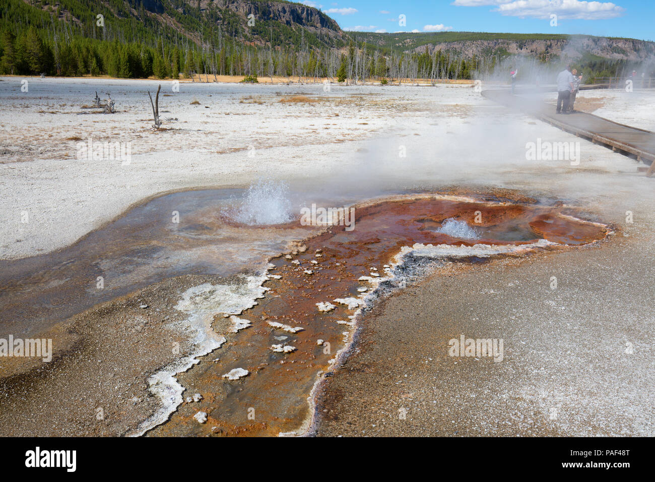 Colorful hot water pool in the Yellowstone National park, USA Stock ...