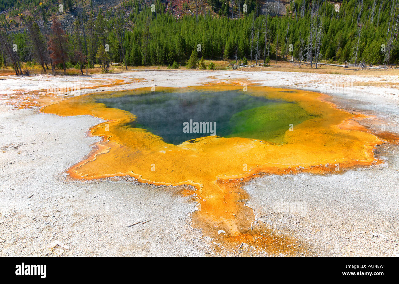 Colorful hot water pool in the Yellowstone National park, USA Stock ...
