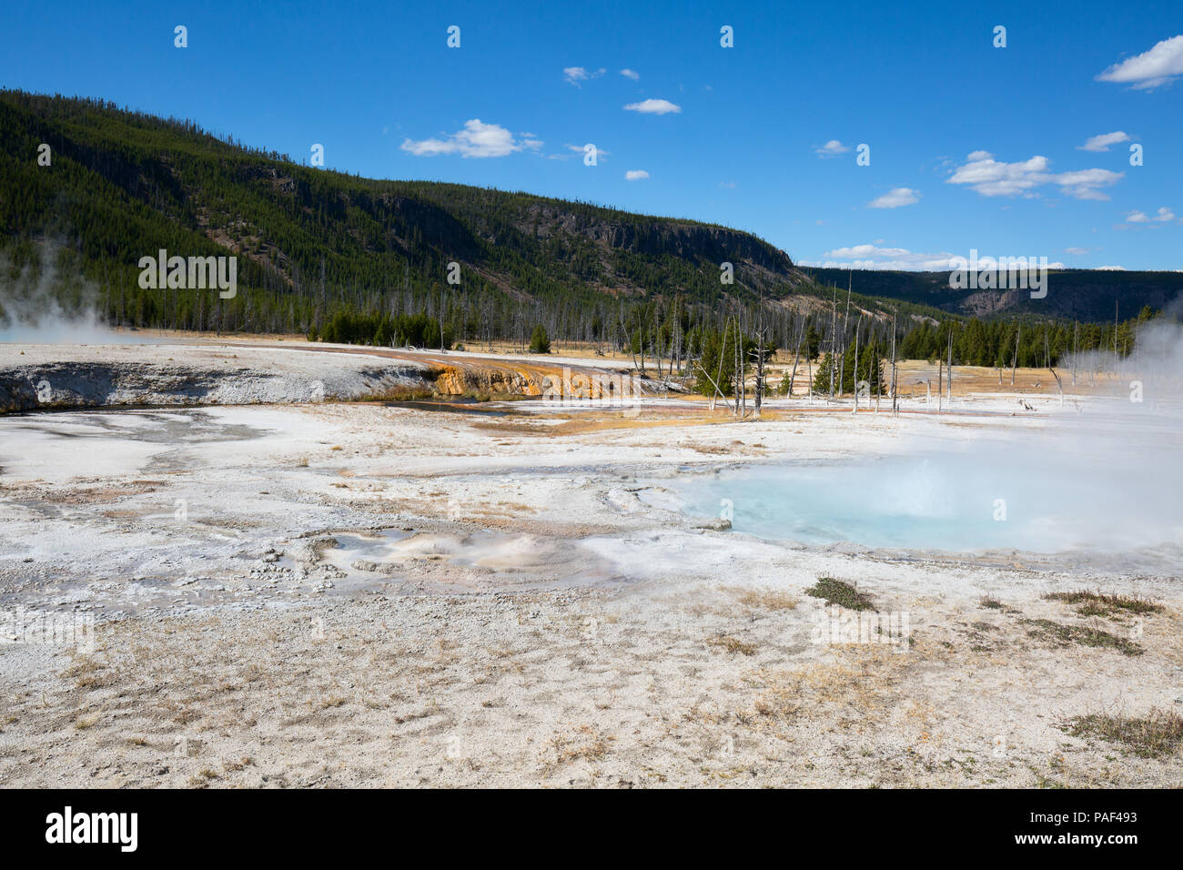 Colorful hot water pool in the Yellowstone National park, USA Stock ...