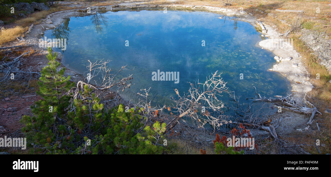 Colorful hot water pool in the Yellowstone National park, USA Stock ...