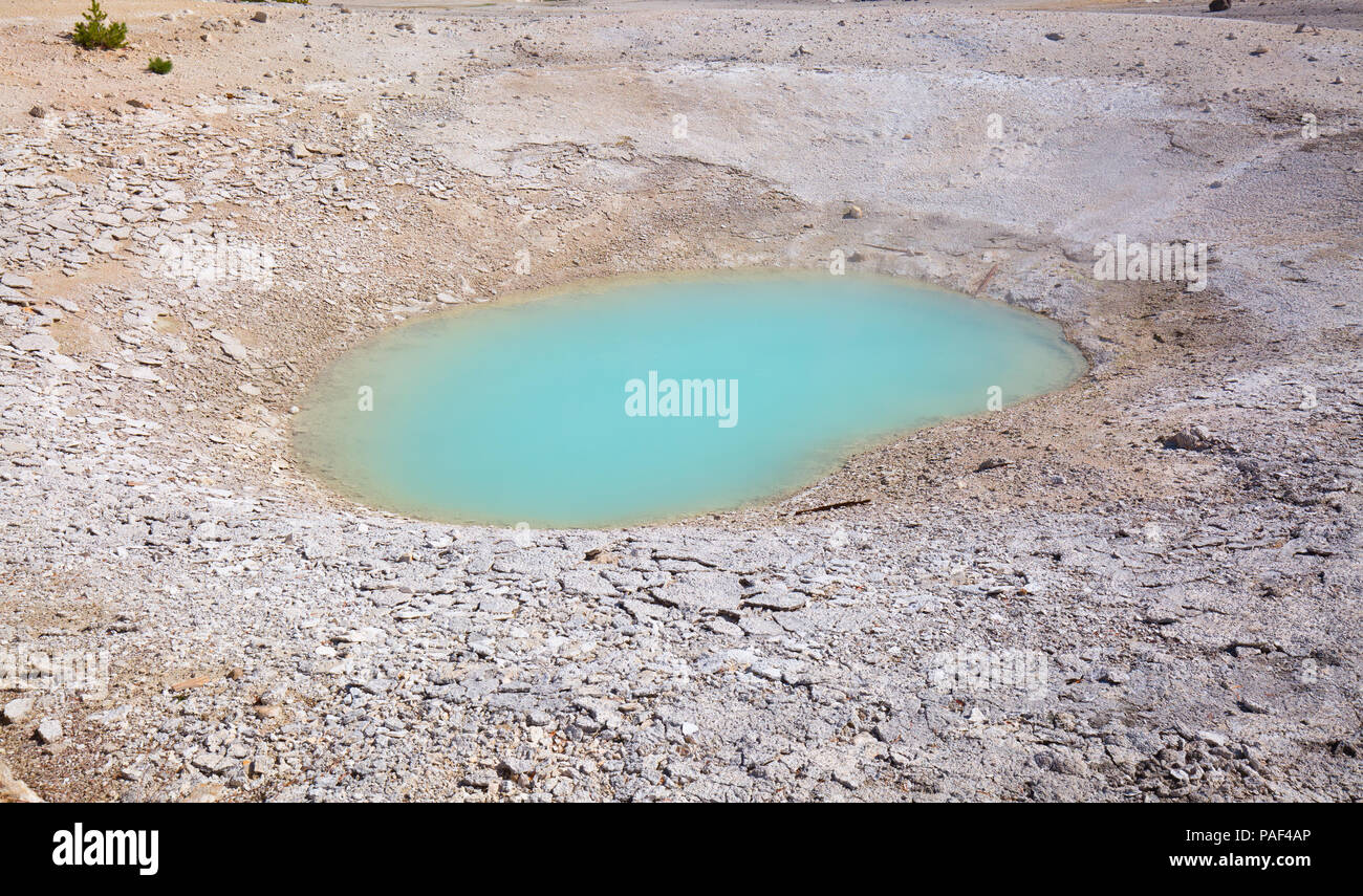 Colorful hot water pool in the Yellowstone National park, USA Stock ...