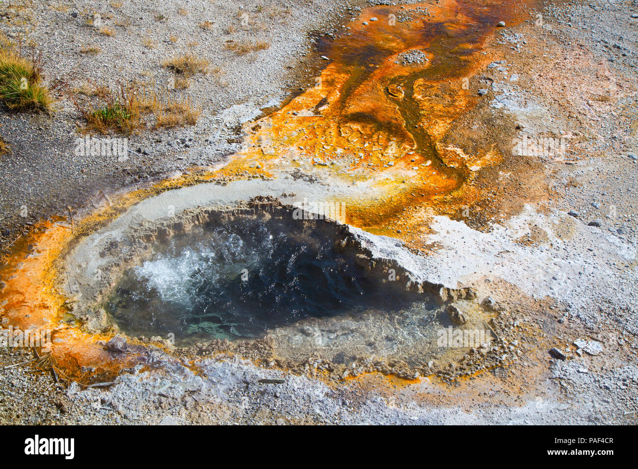Colorful hot water pool in the Yellowstone National park, USA Stock ...