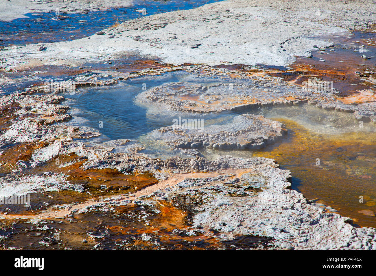 Colorful hot water pool in the Yellowstone National park, USA Stock ...