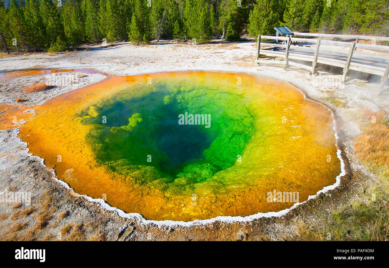 Colorful hot water pool in the Yellowstone National park, USA Stock ...
