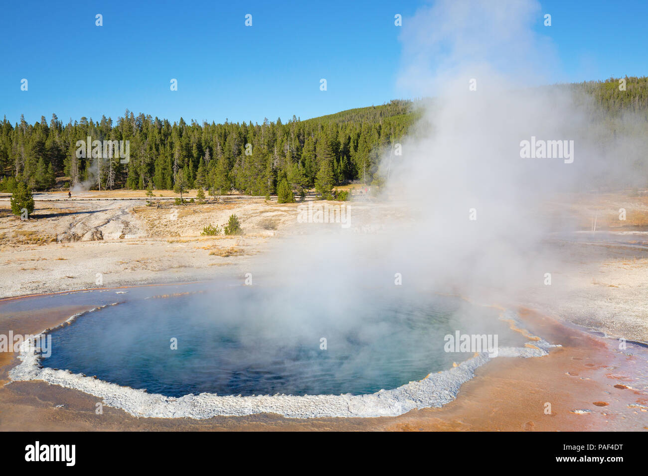 Colorful hot water pool in the Yellowstone National park, USA Stock ...
