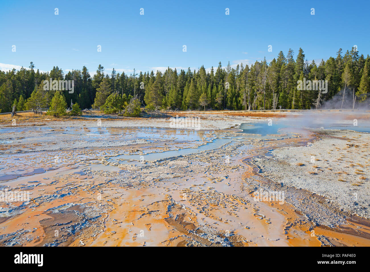 Colorful hot water pool in the Yellowstone National park, USA Stock Photo - Alamy