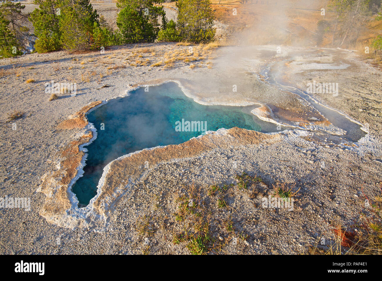 Colorful hot water pool in the Yellowstone National park, USA Stock ...