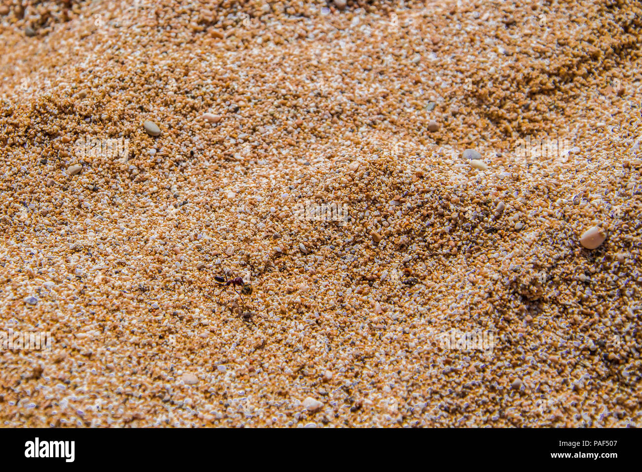 Close up of beach sand- background Stock Photo - Alamy