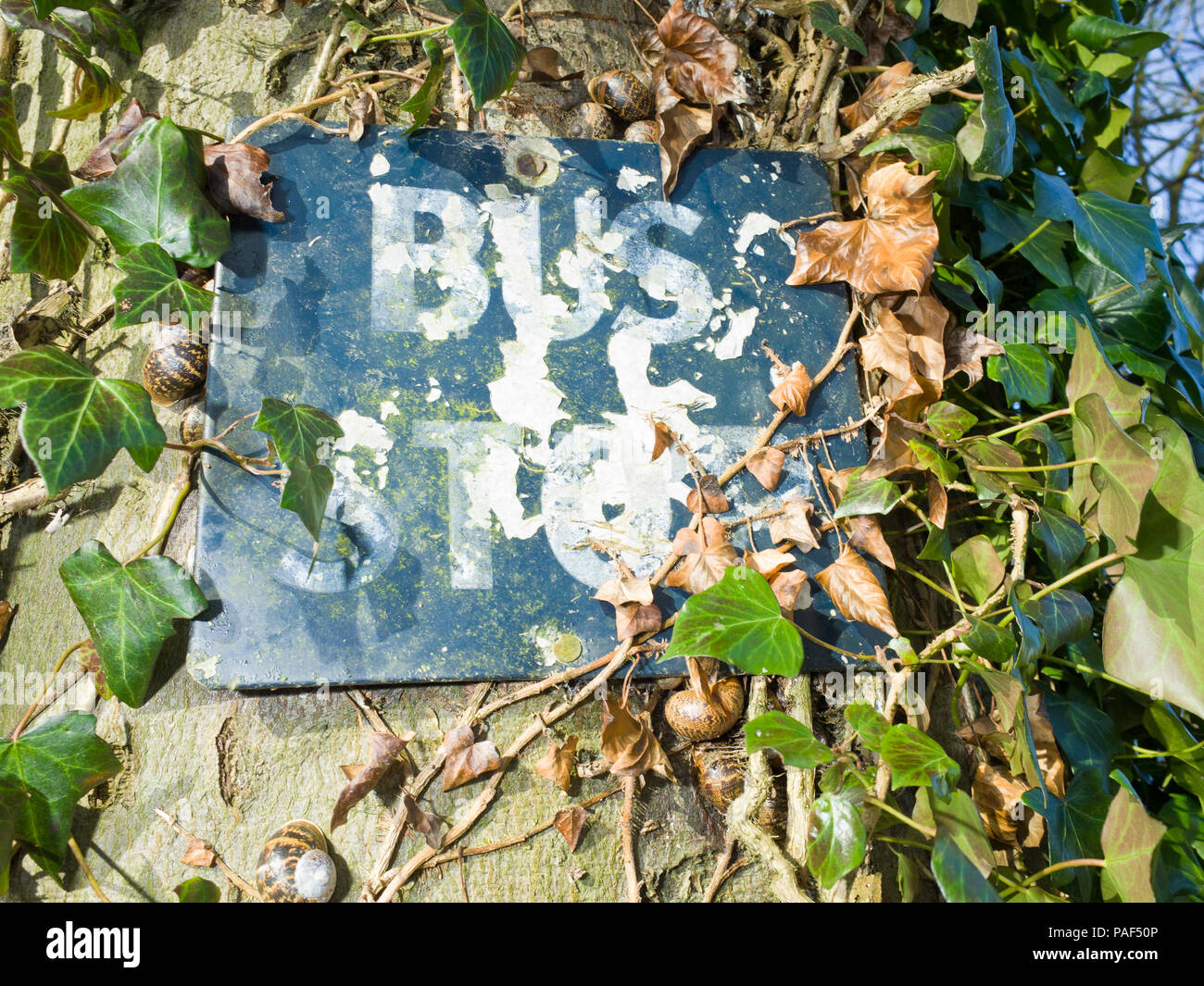 Bus stop sign uk hi-res stock photography and images - Alamy