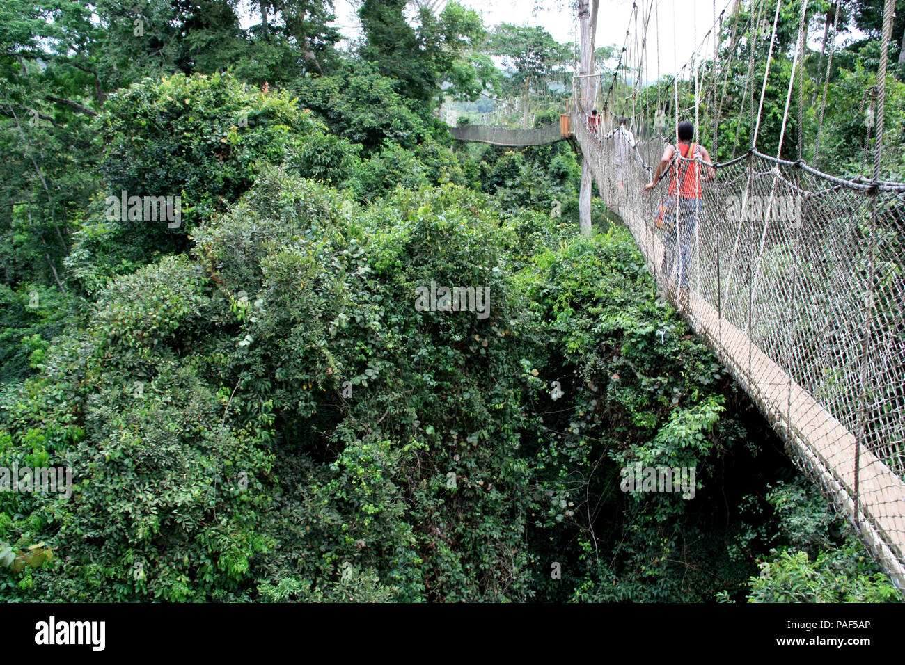 Rope bridges hi-res stock photography and images - Alamy