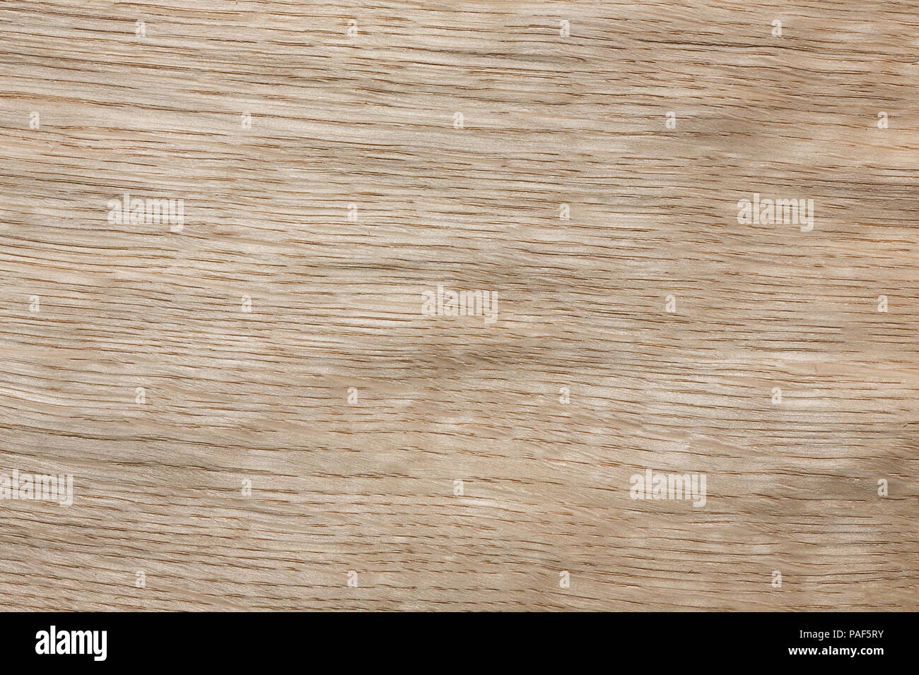 Stylish light oak veneer texture for your interior Stock Photo - Alamy