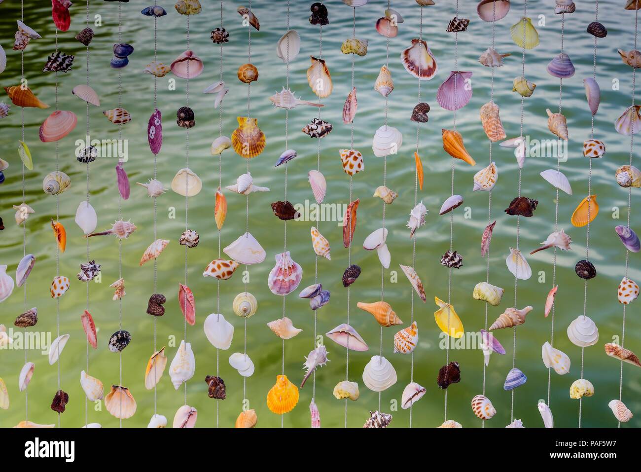 Sea shell curtain with the background of sea water Stock Photo - Alamy