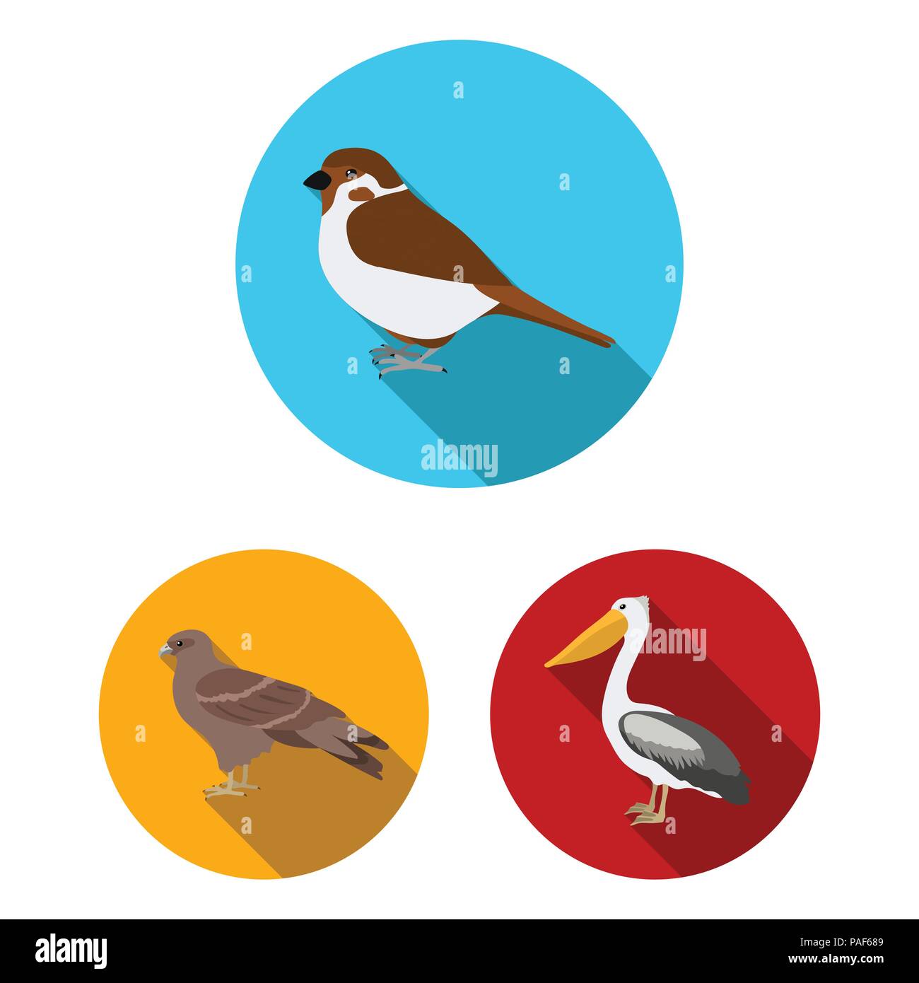 Types of birds flat icons in set collection for design. Home and wild ...