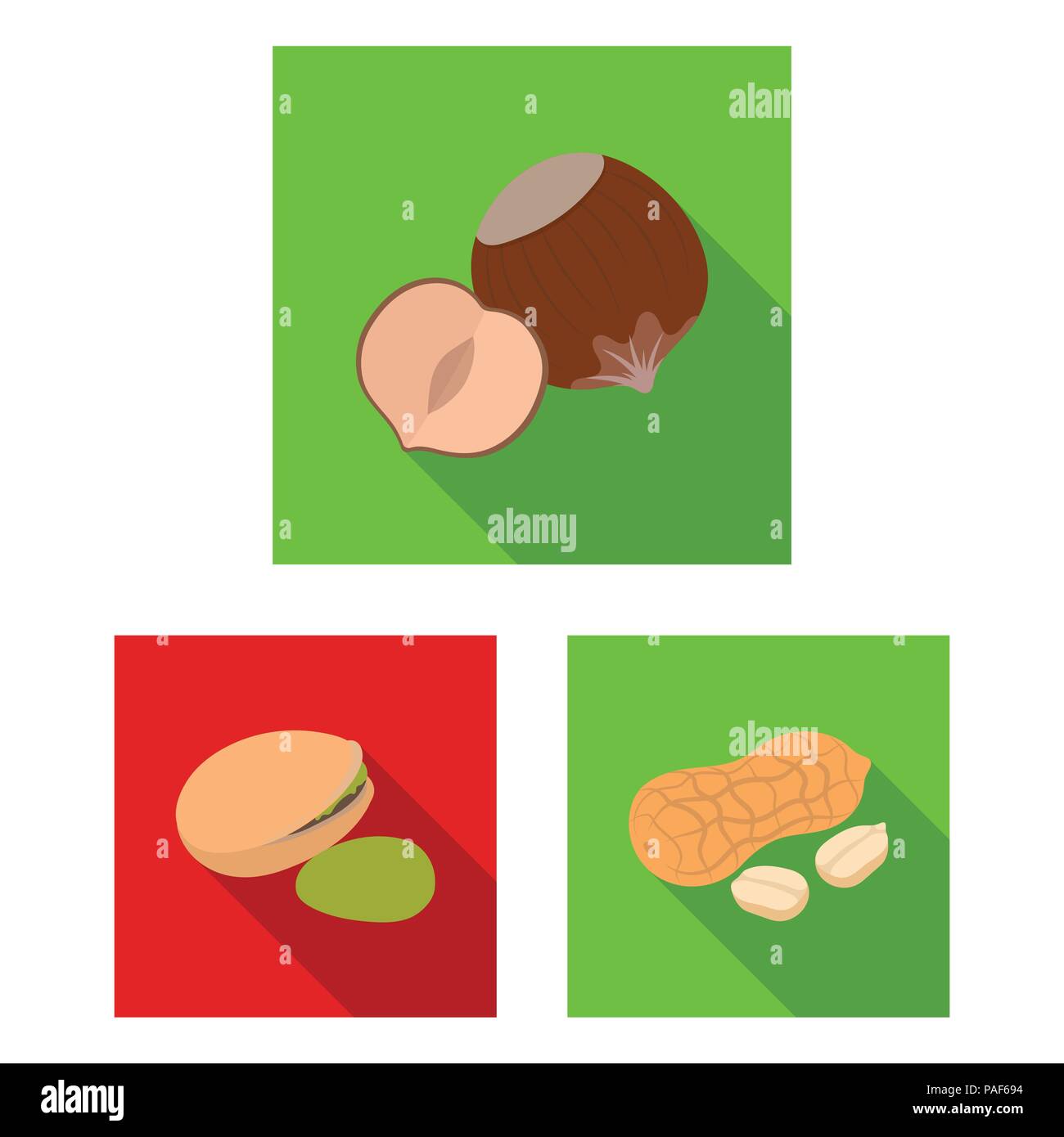 Different kinds of nuts flat icons in set collection for design.Nut ...