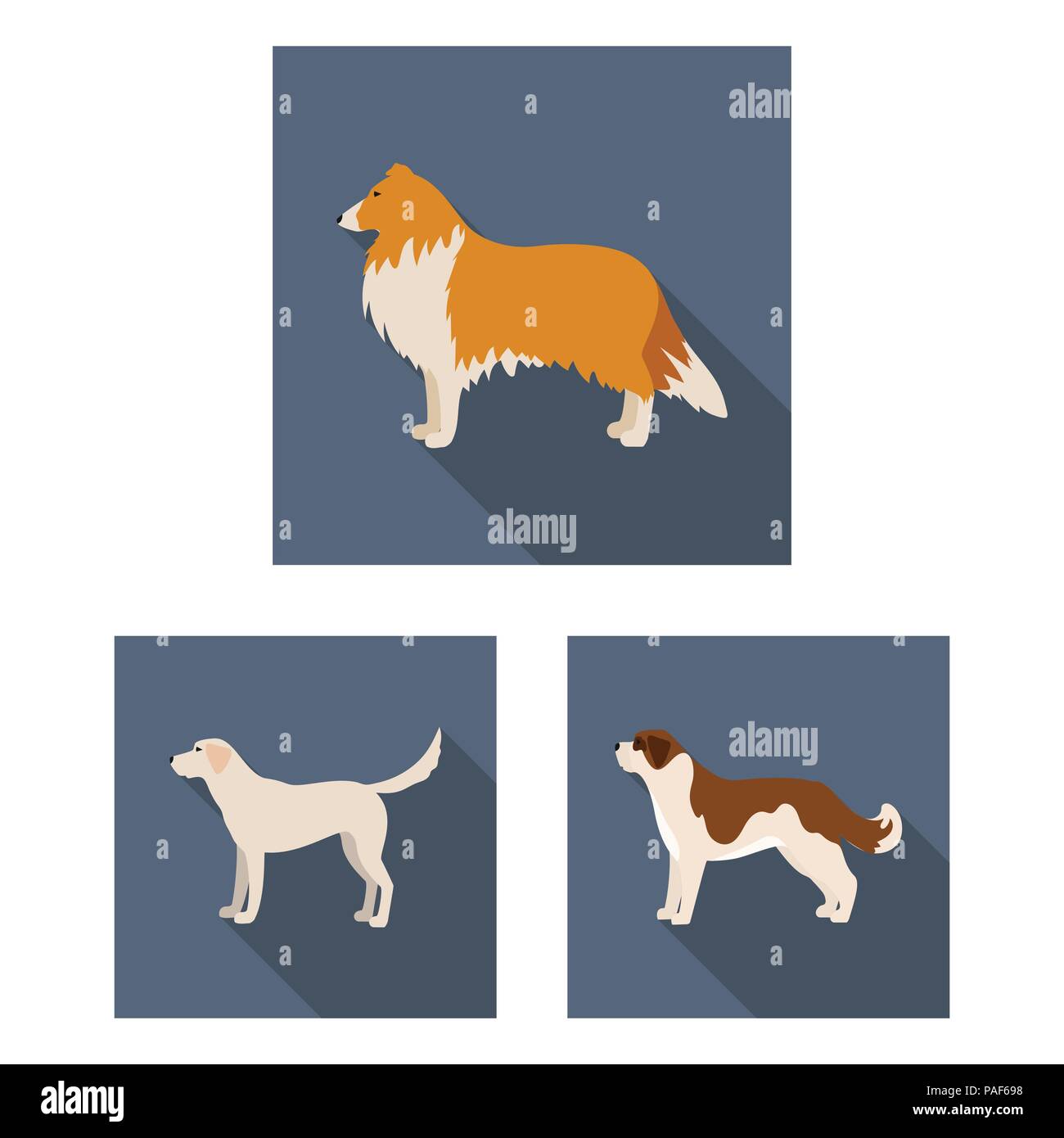 Dog breeds flat icons in set collection for design.Dog pet vector ...