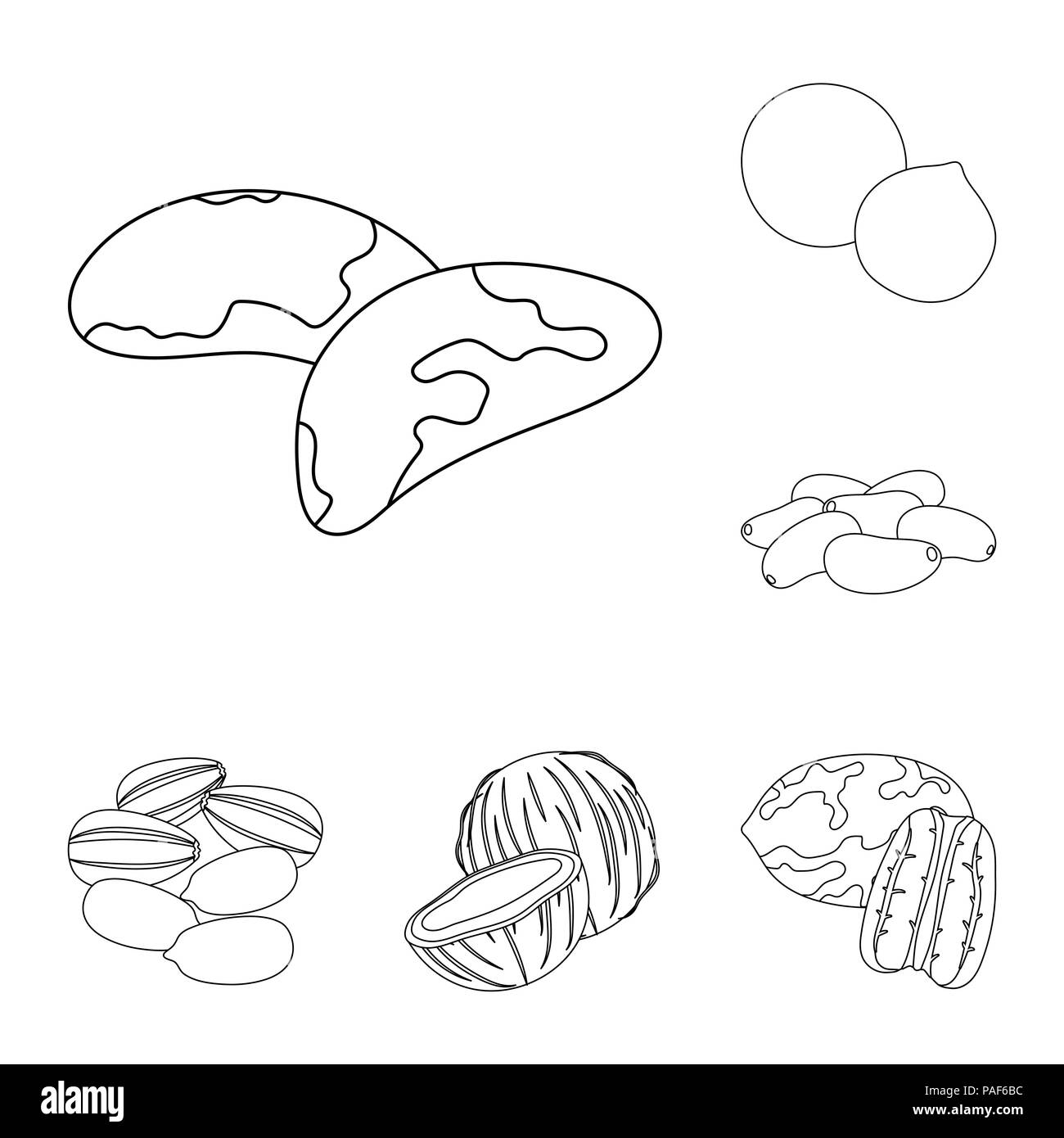 Different kinds of nuts outline icons in set collection for design.Nut ...
