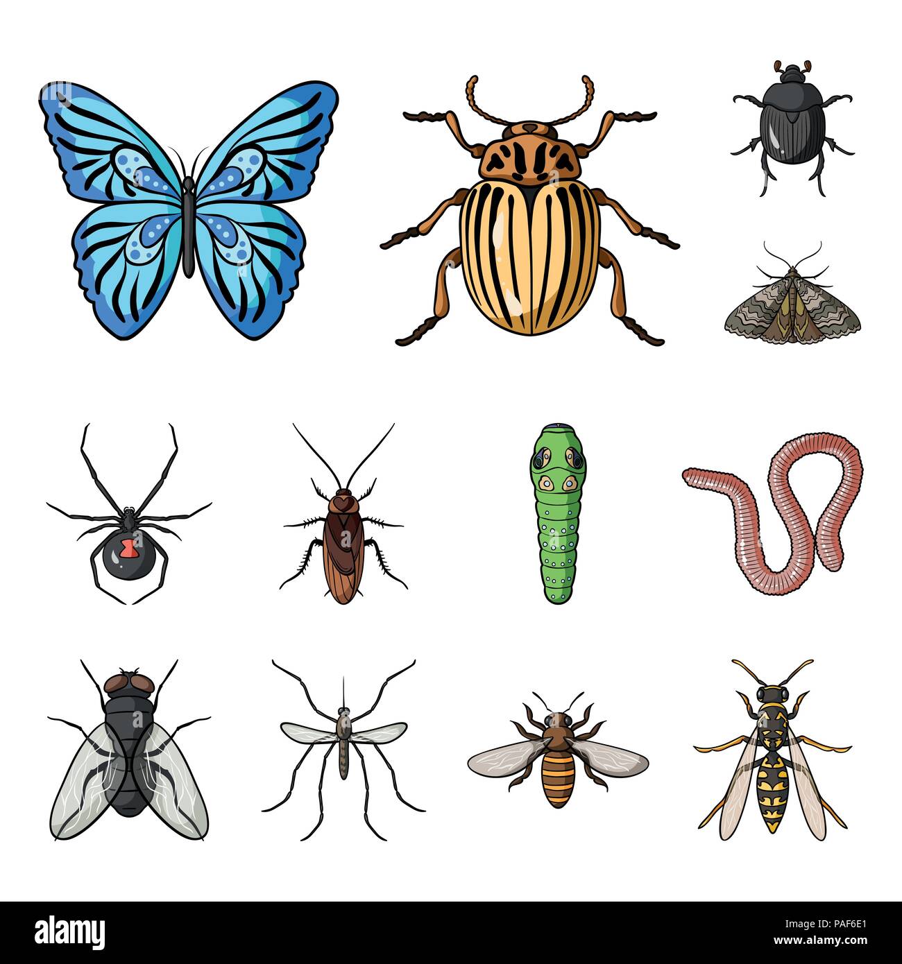 Different kinds of insects cartoon icons in set collection for design ...
