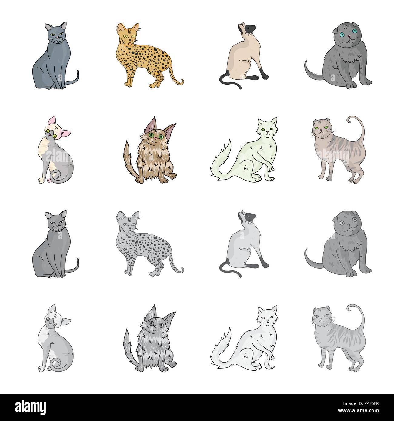 Turkish Angora, British longhair and other species. Cat breeds set ...