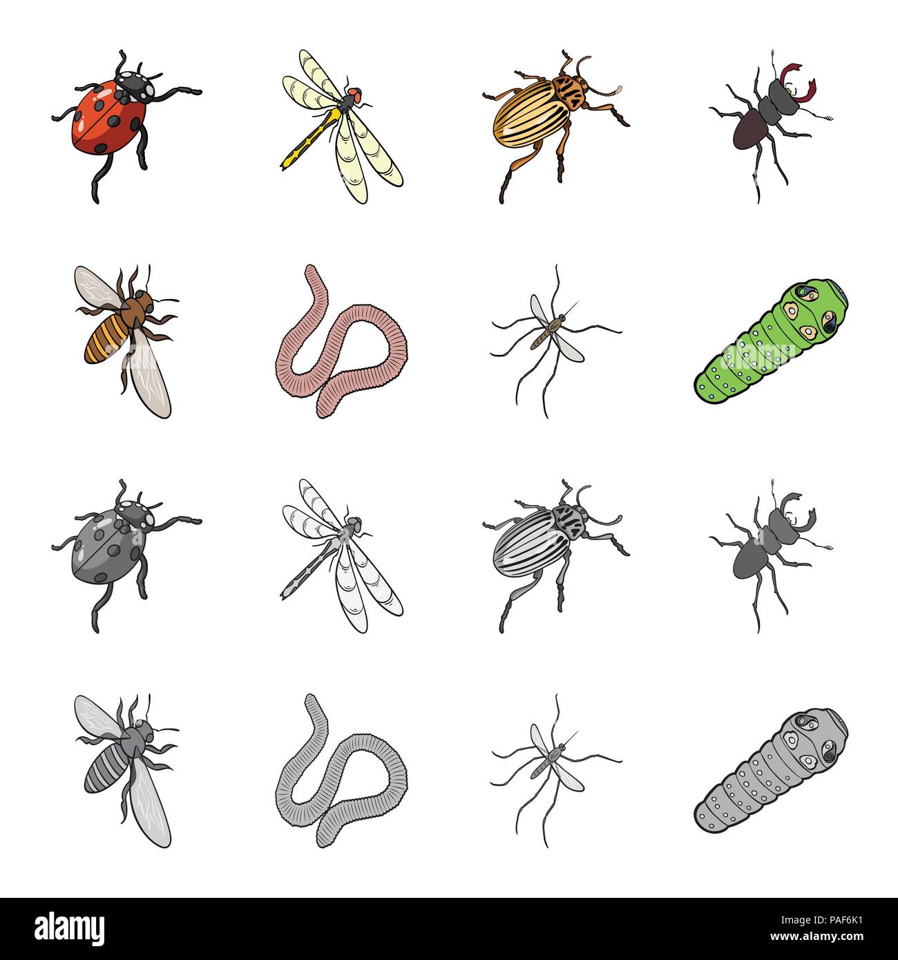 Arthropods insect mosquito, bee.Earth worm, caterpillar,vermicular set ...