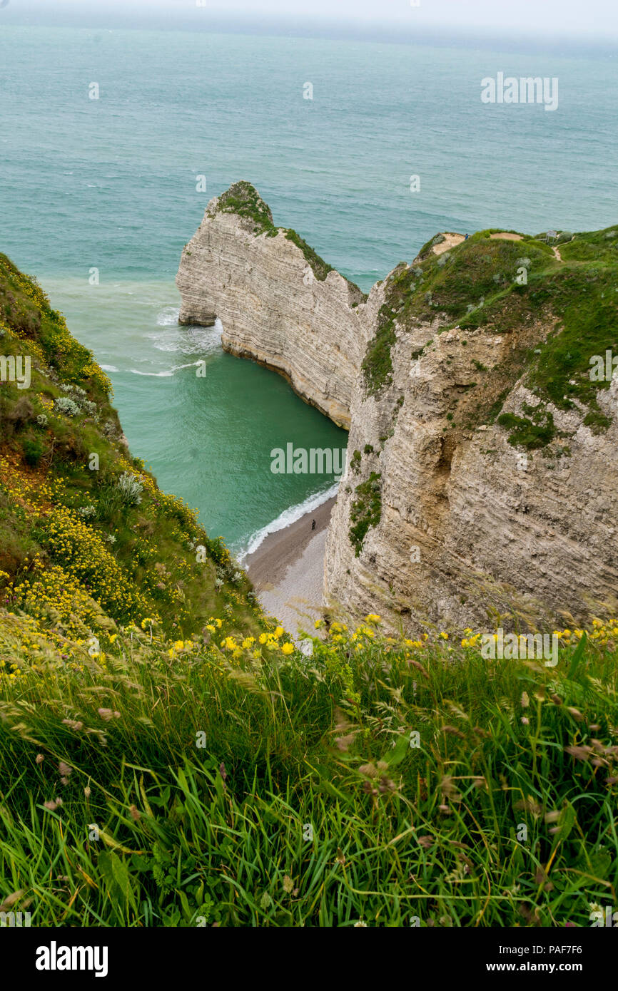 Etretat, Normandy, France. The famous cliffs with flowers in the ...